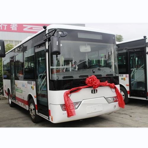 Quality Zev Bus & Electric City Bus factory from China