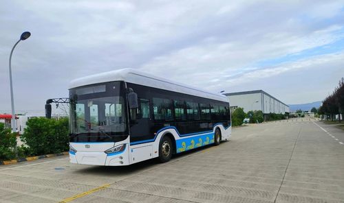 Quality Zev Bus & Electric City Bus factory from China