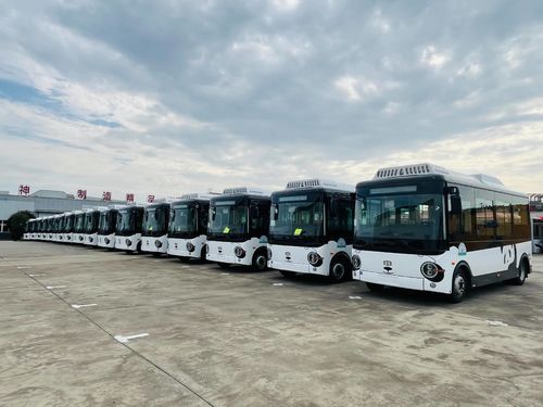 Quality Zev Bus & Electric City Bus factory from China