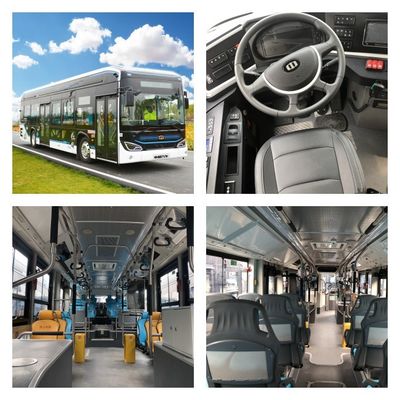 Quality Zev Bus & Electric City Bus factory from China