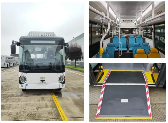 Mini Bus Panda Bus Exhibition Tour.